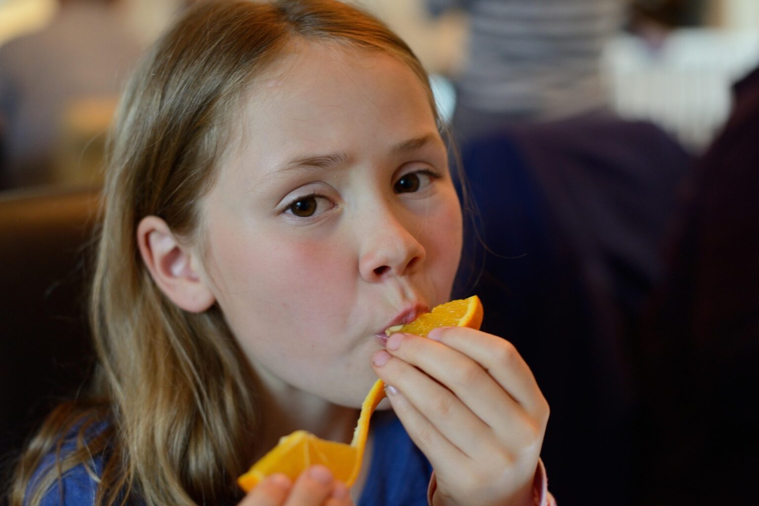 Building Healthy Comfort Foods for the Future: Why What You Feed Your ...